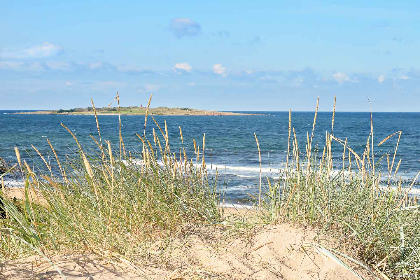 Att göra Halmstad & tips på upplevelser