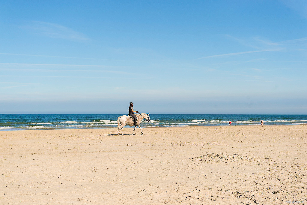 Campingar i Sydjylland | Upptäck Danmark | First Camp