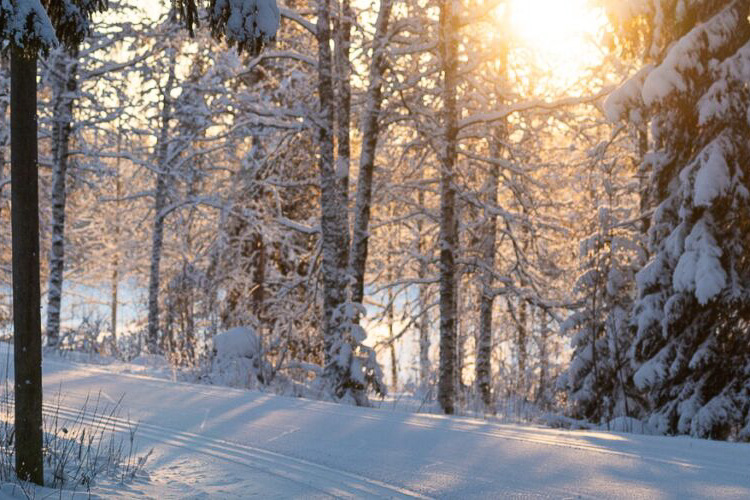 Camp i vintersæsonen som sæsongæst | First Camp