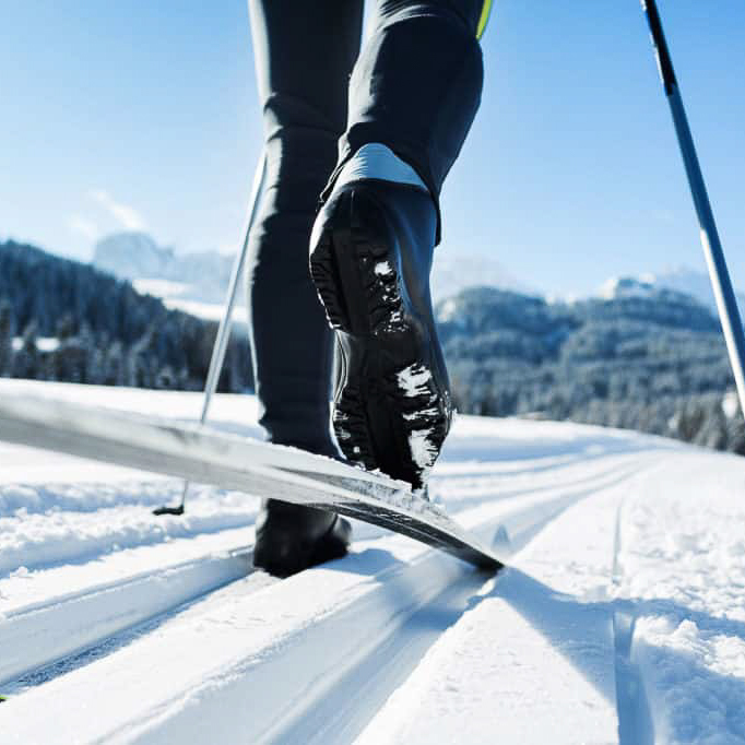 Langrend i Sverige | Book dit campingeventyr i dag First Camp