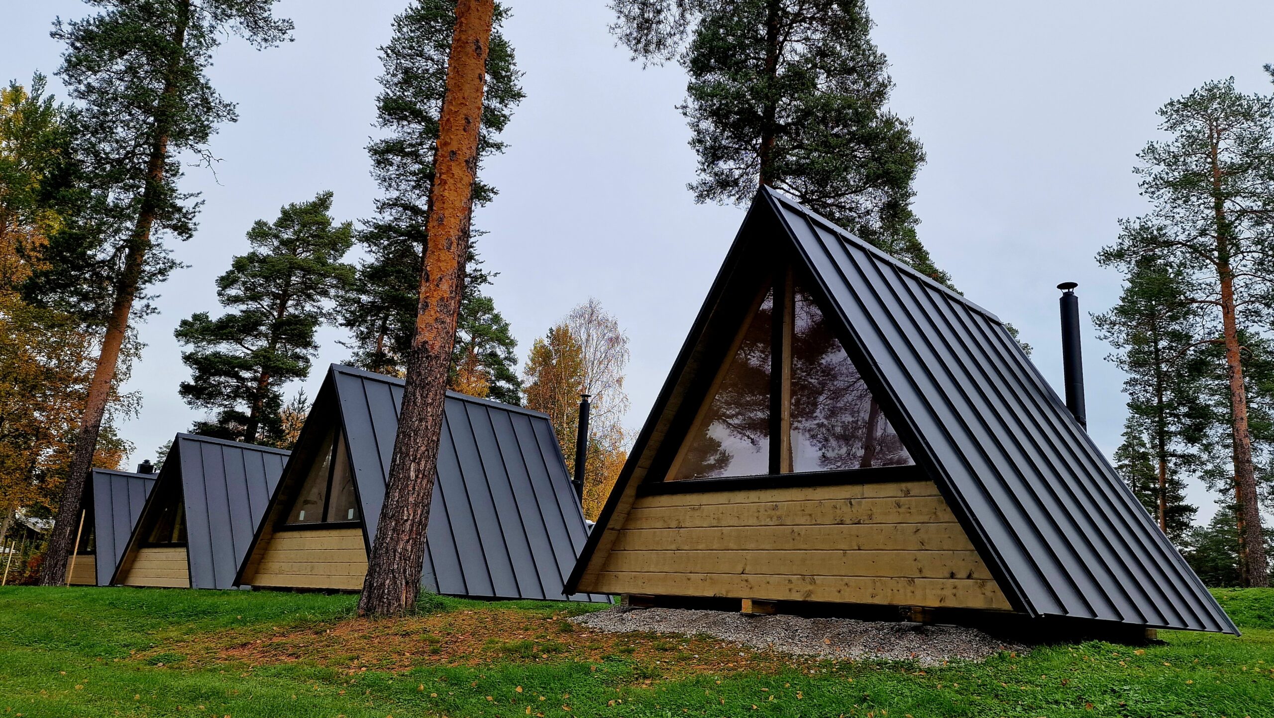 Spännande nyheter på First Camps destinationer.| First Camp